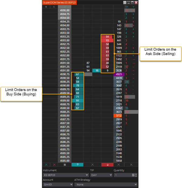Master Order Flow Trading with NinjaTrader: A Compressive Guide