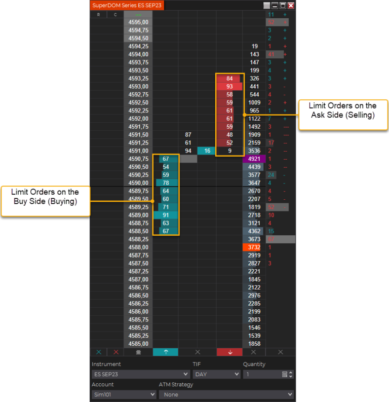 Master Order Flow Trading with NinjaTrader: A Compressive Guide